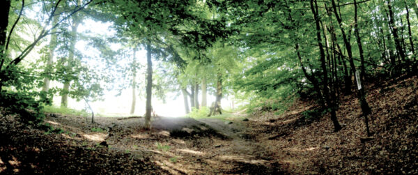 The Himmelbjerg tower - Himmelbjerget